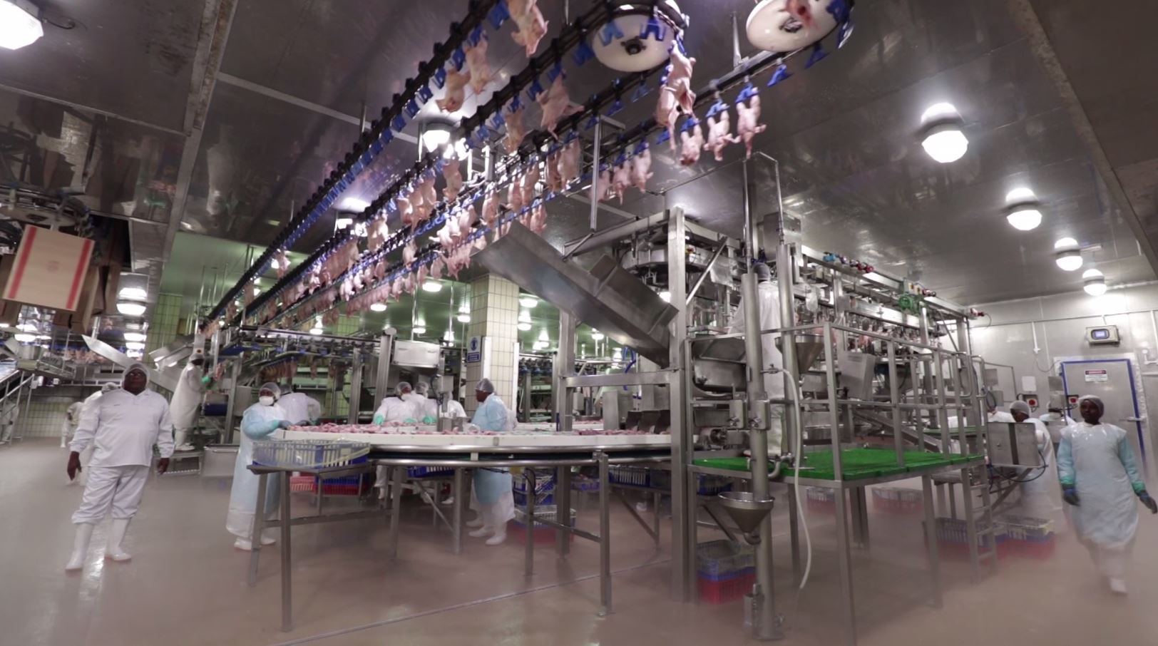 Health and Safety Video - Astral - SID