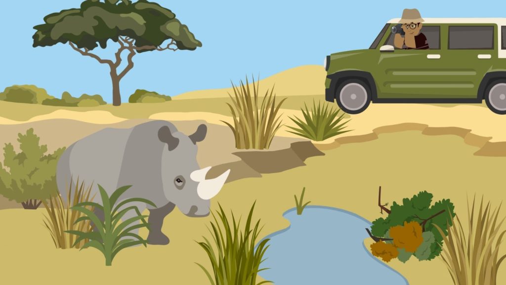 2D Animation - WWF - SID